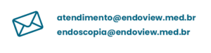 Endoview